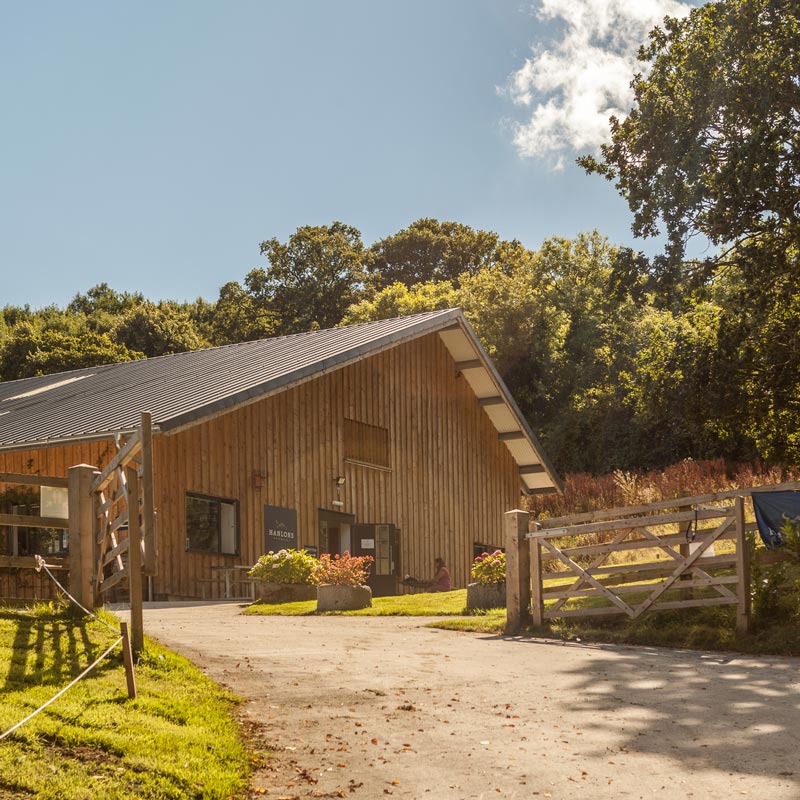 Frank+Otis Brewing Co. | About Frank+Otis